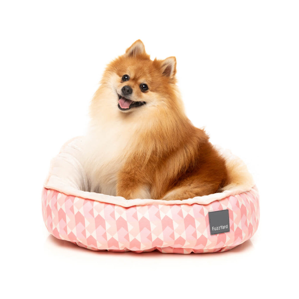 FuzzYard | Every Pet's Favourite Beds & Accessories