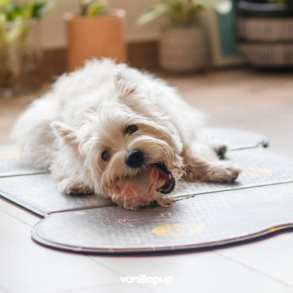 Feeding Mats | Fuss-free & Easy to Handle