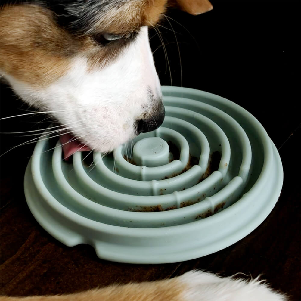 Slow Feeders & Lick Mats
