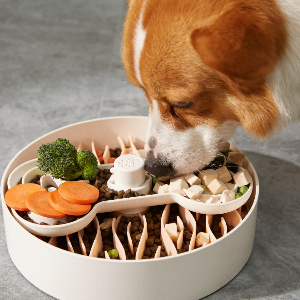Puzzle Feeder™ | Feed Your Pet Slowly and Safely