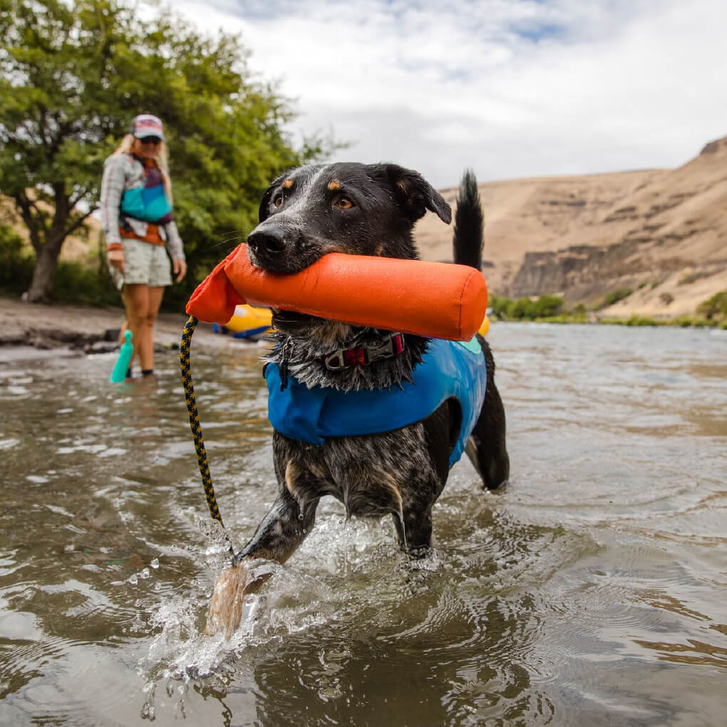 Floating Toys for Dogs