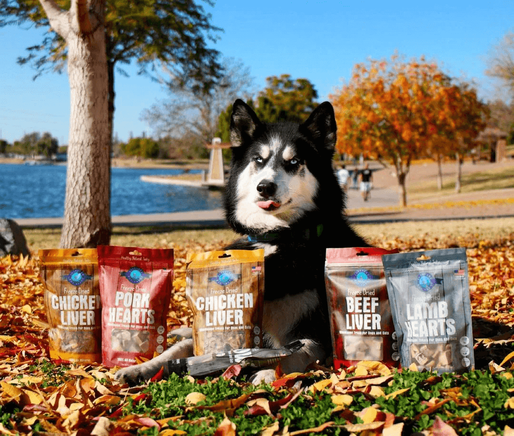 Shepherd Boy Farms
