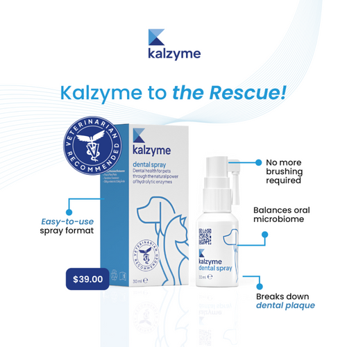 Kalzyme™ Dental Spray