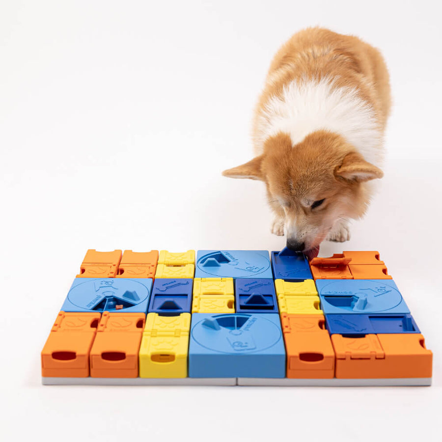 Pawzler Modular Dog Puzzle | Rainbow Set (Mini)