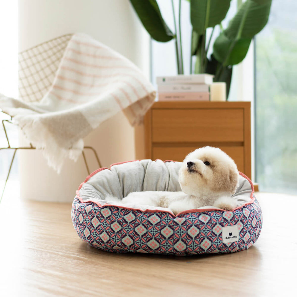Dog Beds: The Search for the Best Dog Bed Ends Here