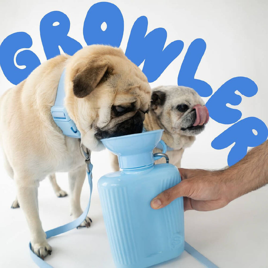 Springer Growler Dog Travel Water Bottle (1300ml)