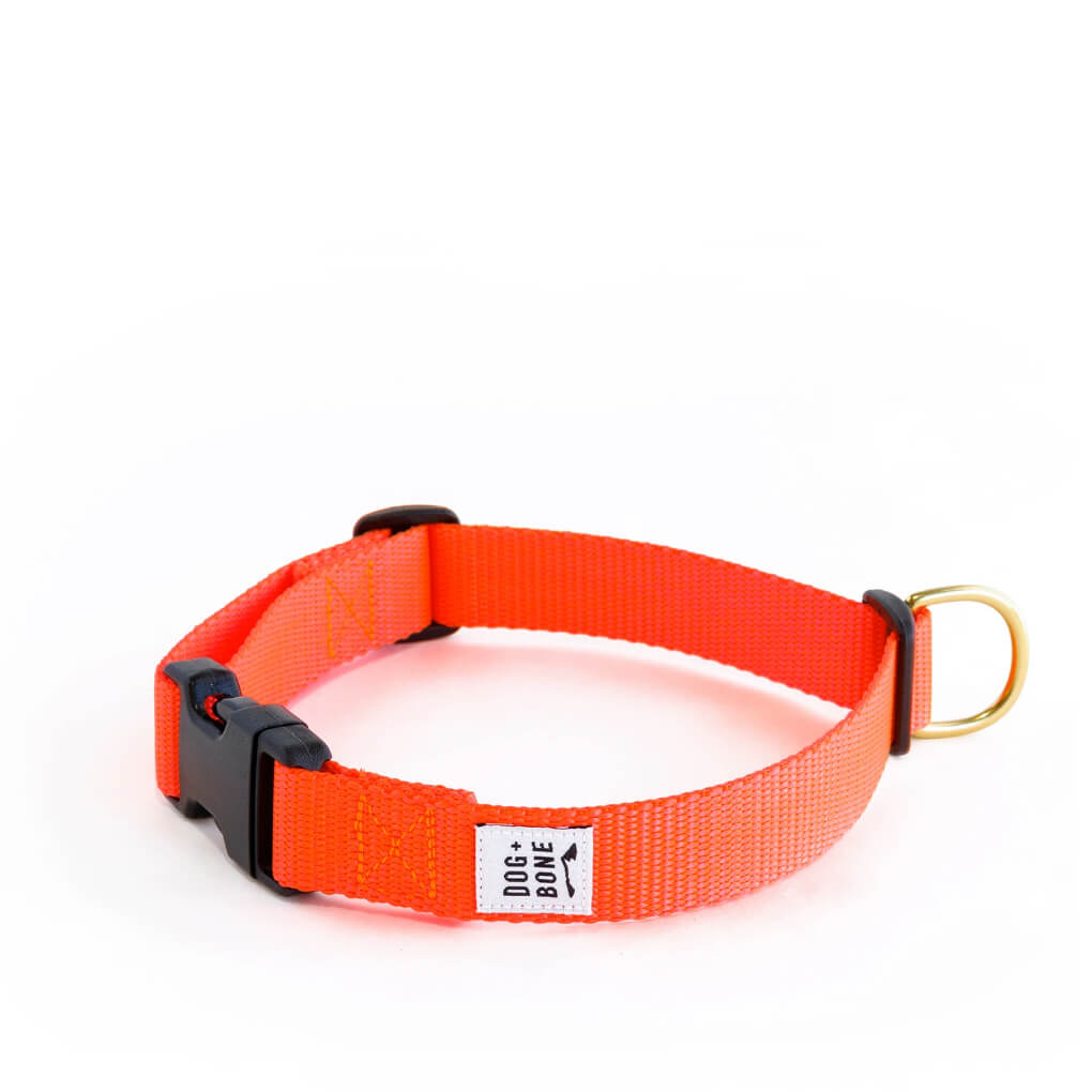 Dog + Bone Snap Collar | Lava