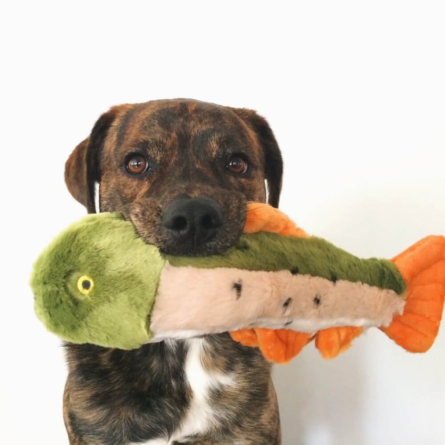 Fluff & Tuff Ruby Rainbow Trout