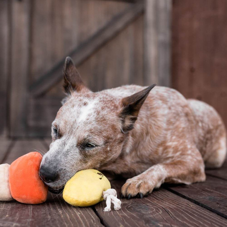 PLAY Howling Haunts Canine Corn Plush Toy