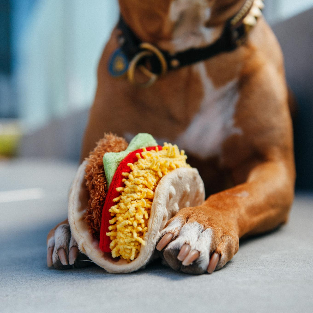 PLAY International Classic Tail Waggin' Taco Plush Toy