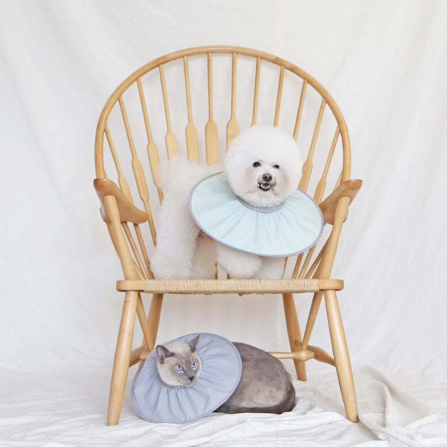 Pet In Beauty Zero Neck Collar