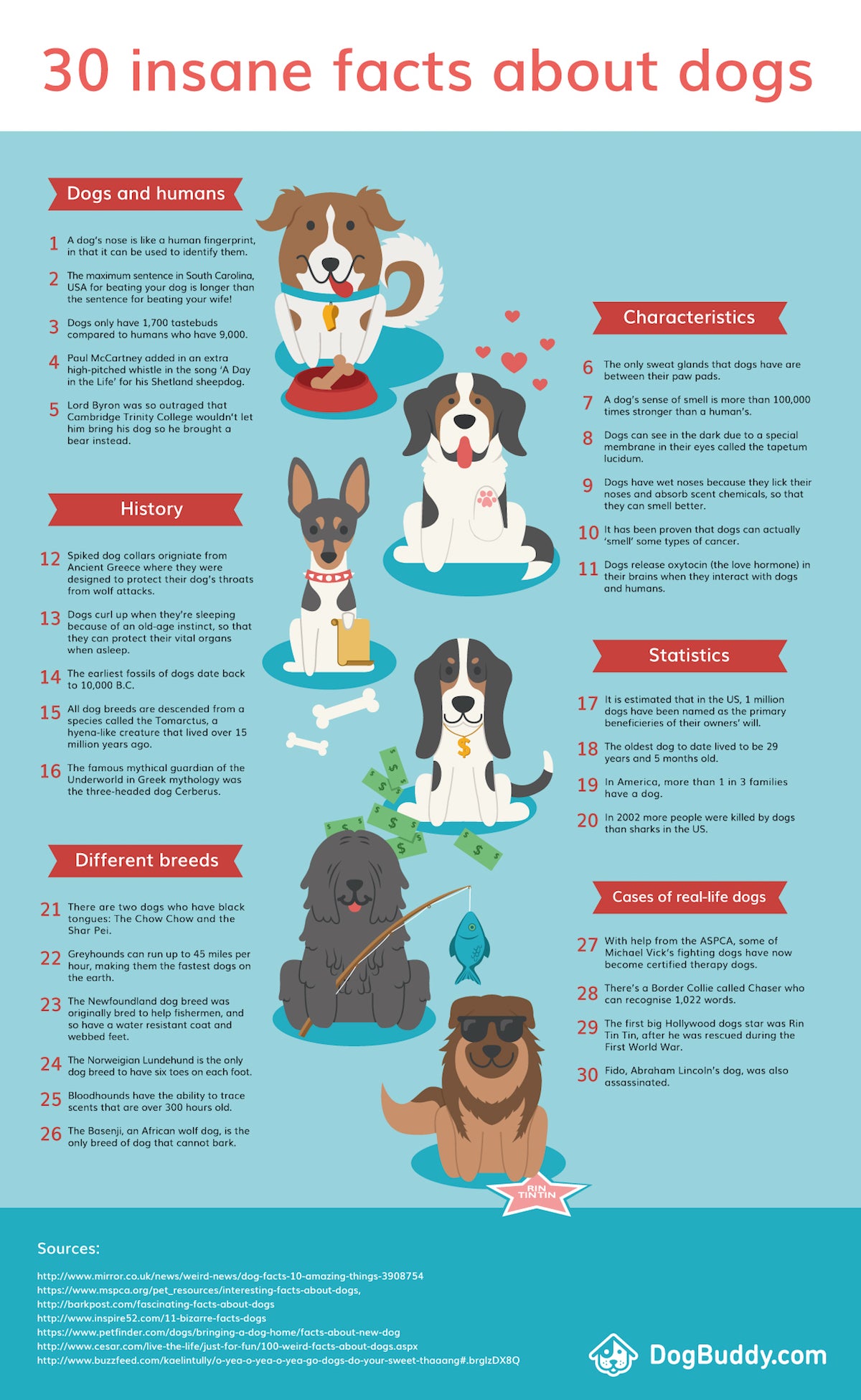 30 Dog Fun Facts You May Have Never Known Vanillapup Blog 30 Dog Fun Facts You May Have Never Known Vanillapup Blog